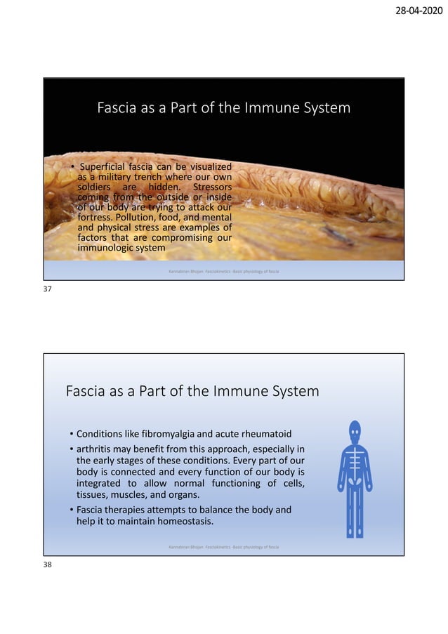 Physiology of fascia | PDF