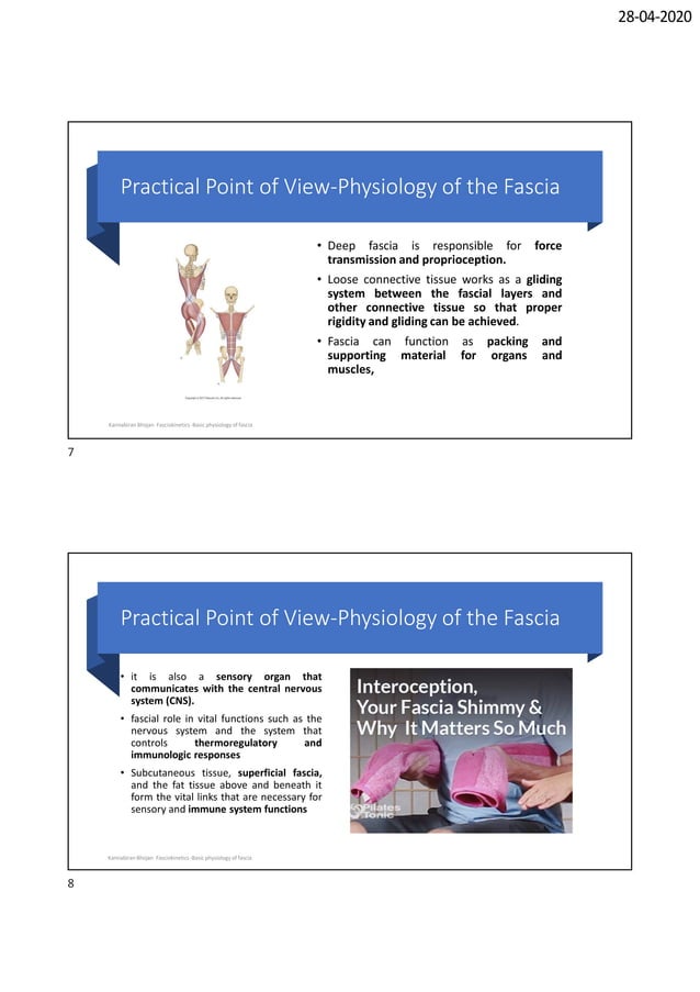 Physiology of fascia | PDF