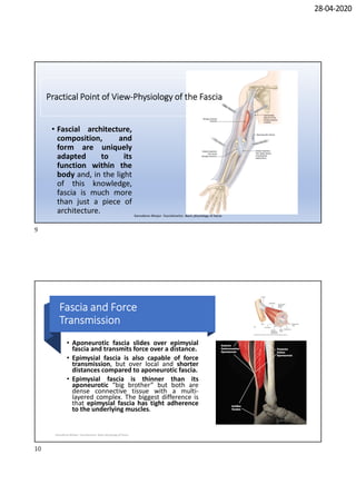 Physiology of fascia | PDF