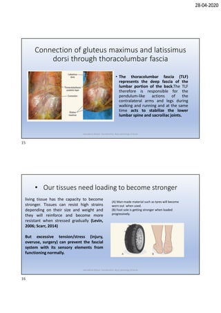 Physiology of fascia | PDF