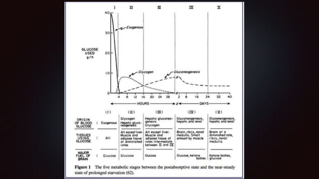 Physiology of fasting | PPTX | Endocrine and Metabolic Diseases | Diseases and Conditions