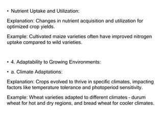 Physiology of Field Crops - Cereals and food grains | PPTX