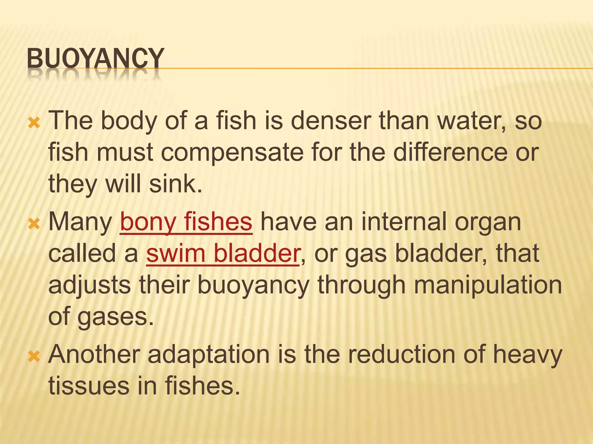 Physiology of fishes | PPTX