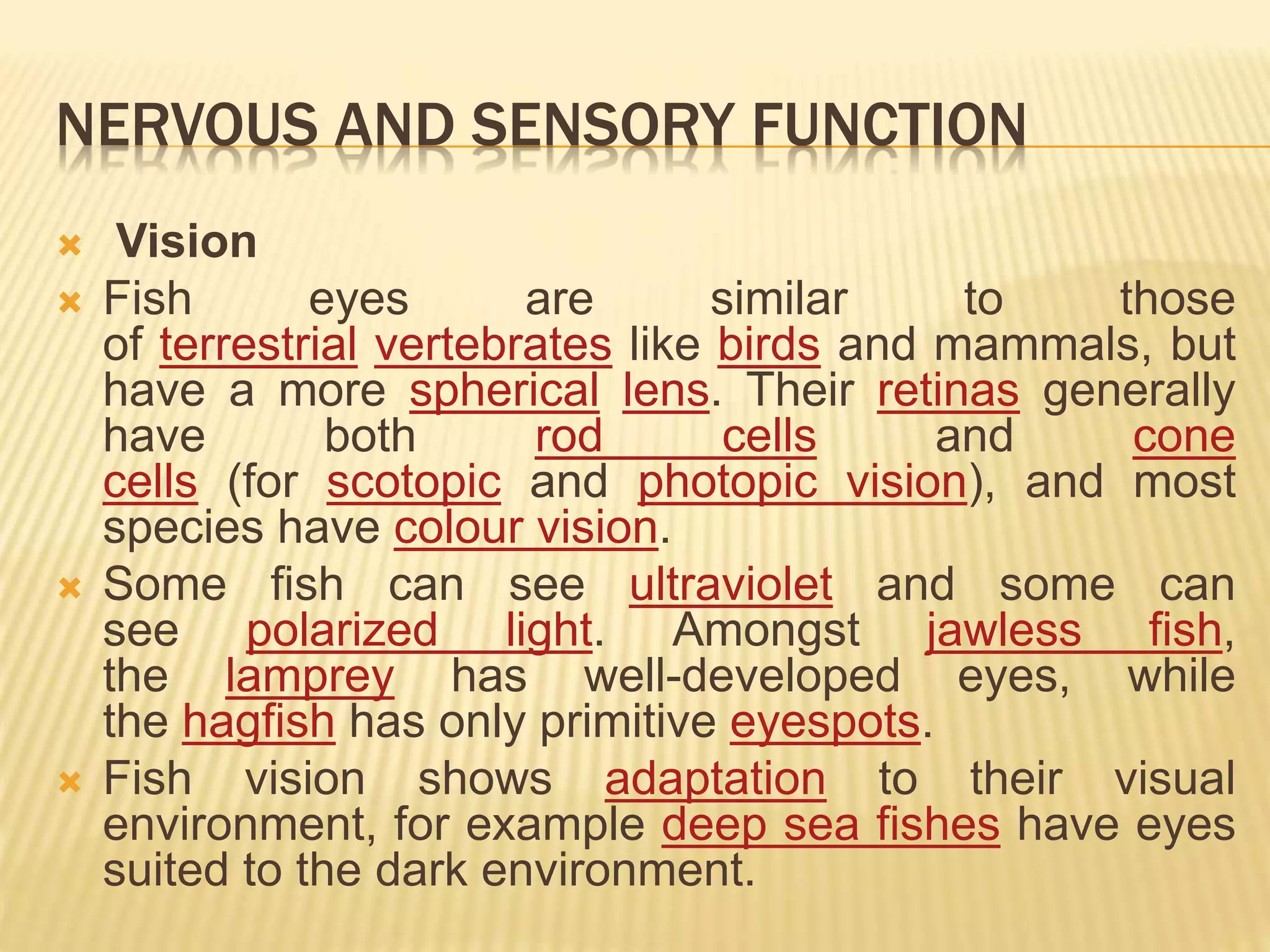 Physiology of fishes | PPTX