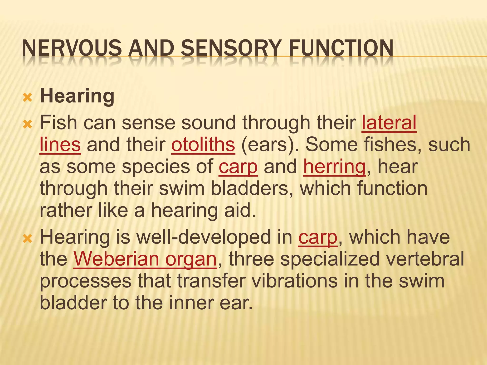 Physiology of fishes | PPTX