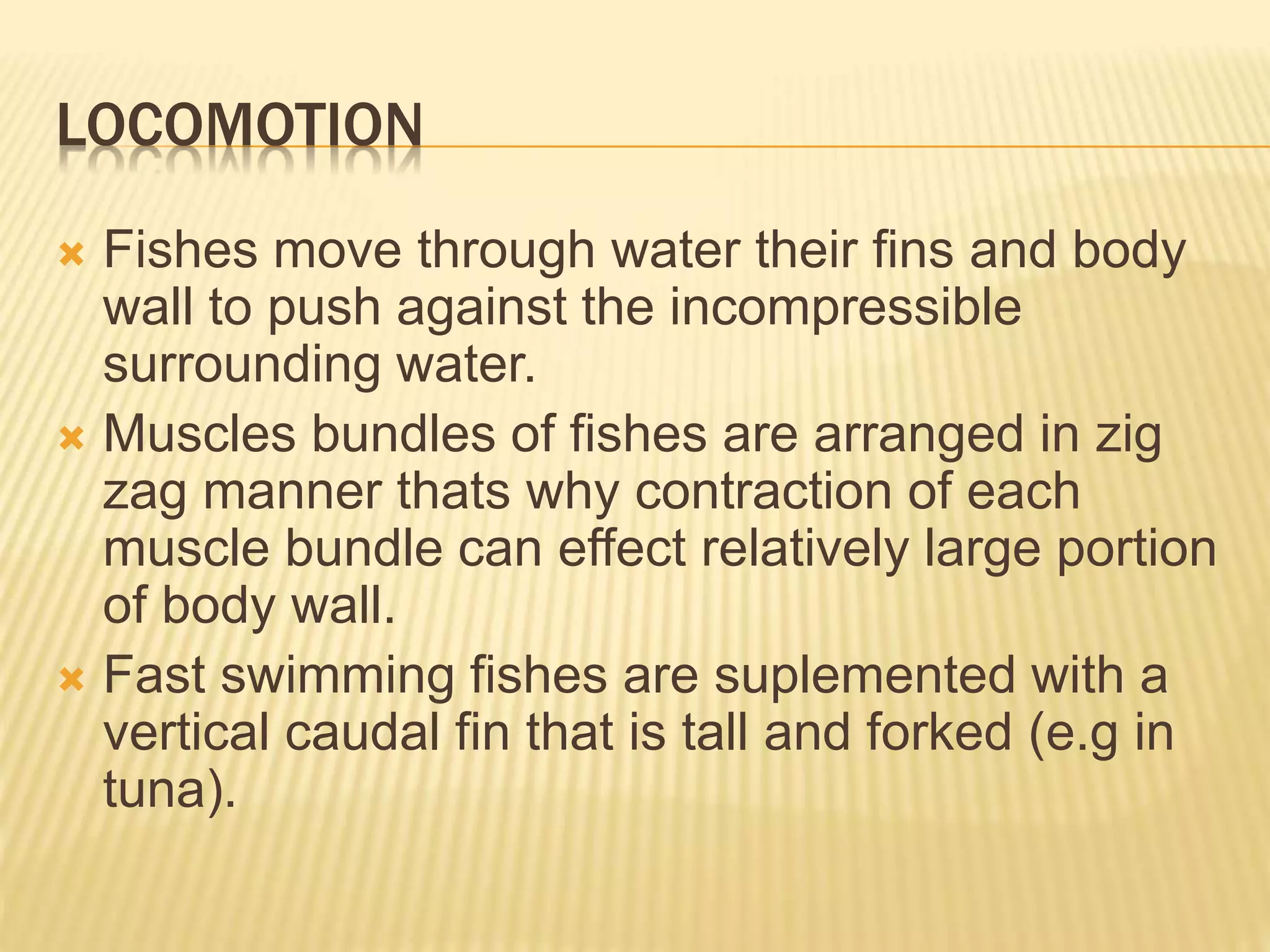 Physiology of fishes | PPTX