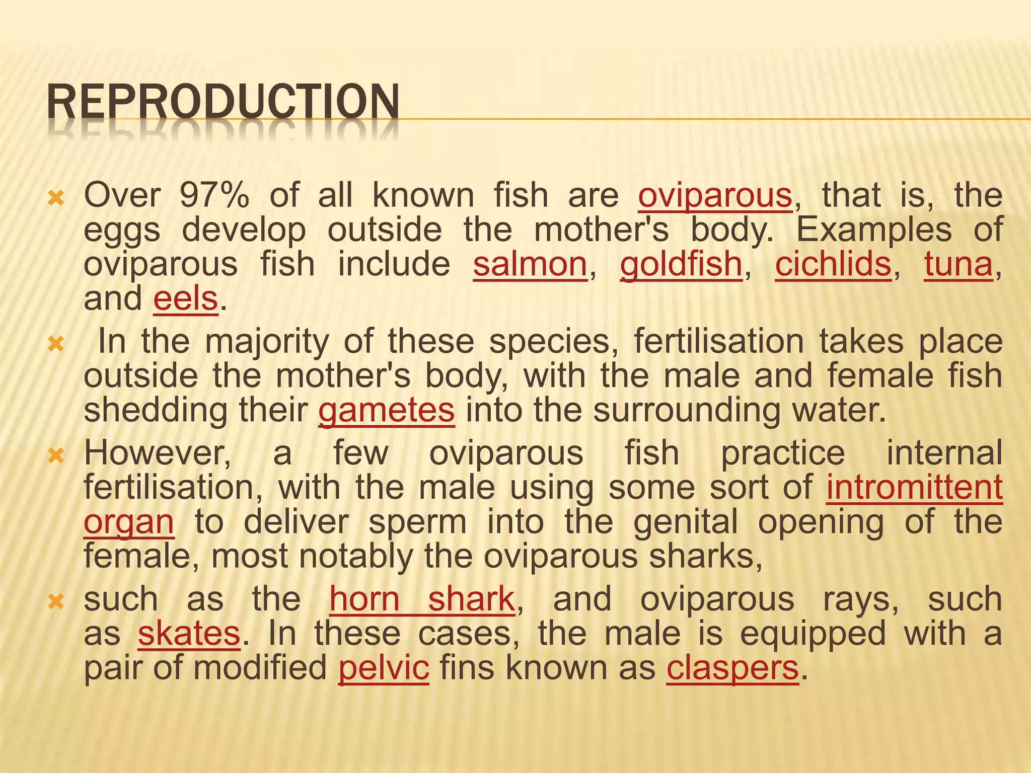 Physiology of fishes | PPTX