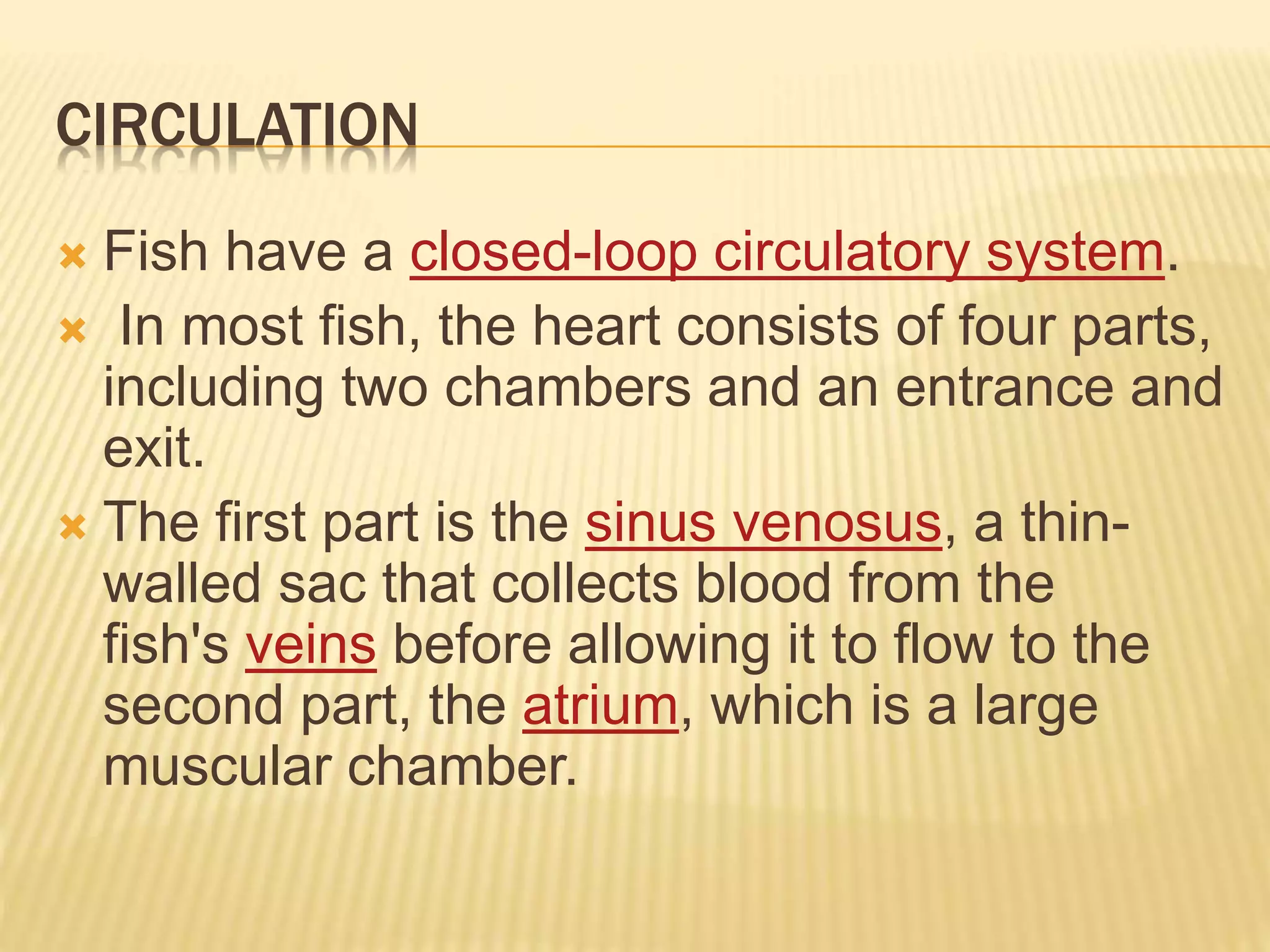 Physiology of fishes | PPTX