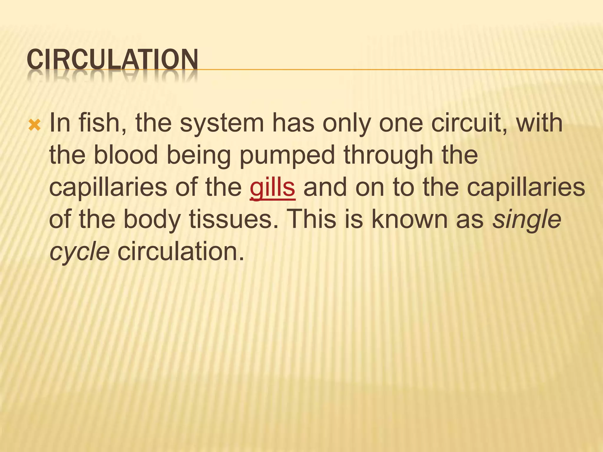 Physiology of fishes | PPTX