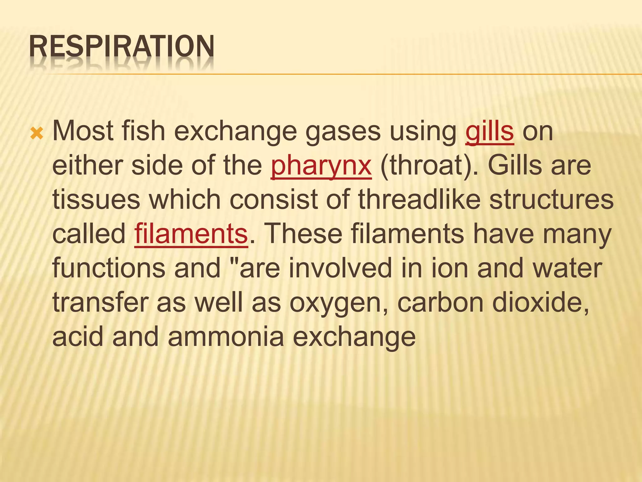 Physiology of fishes | PPTX