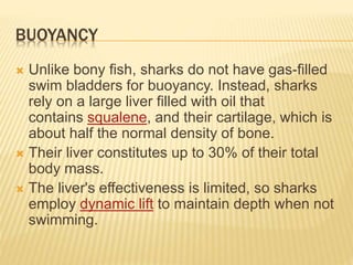 Physiology of fishes | PPTX