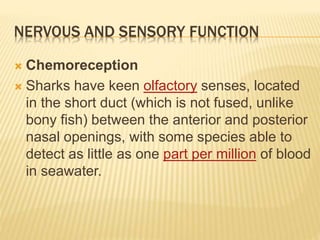Physiology of fishes | PPTX