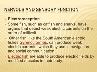 Physiology of fishes | PPTX