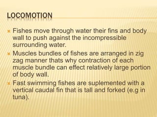 Physiology of fishes | PPTX