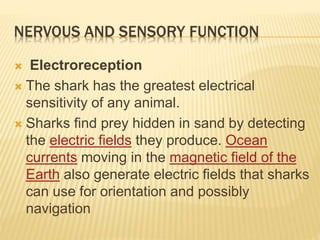 Physiology of fishes | PPTX