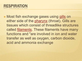Physiology of fishes | PPTX
