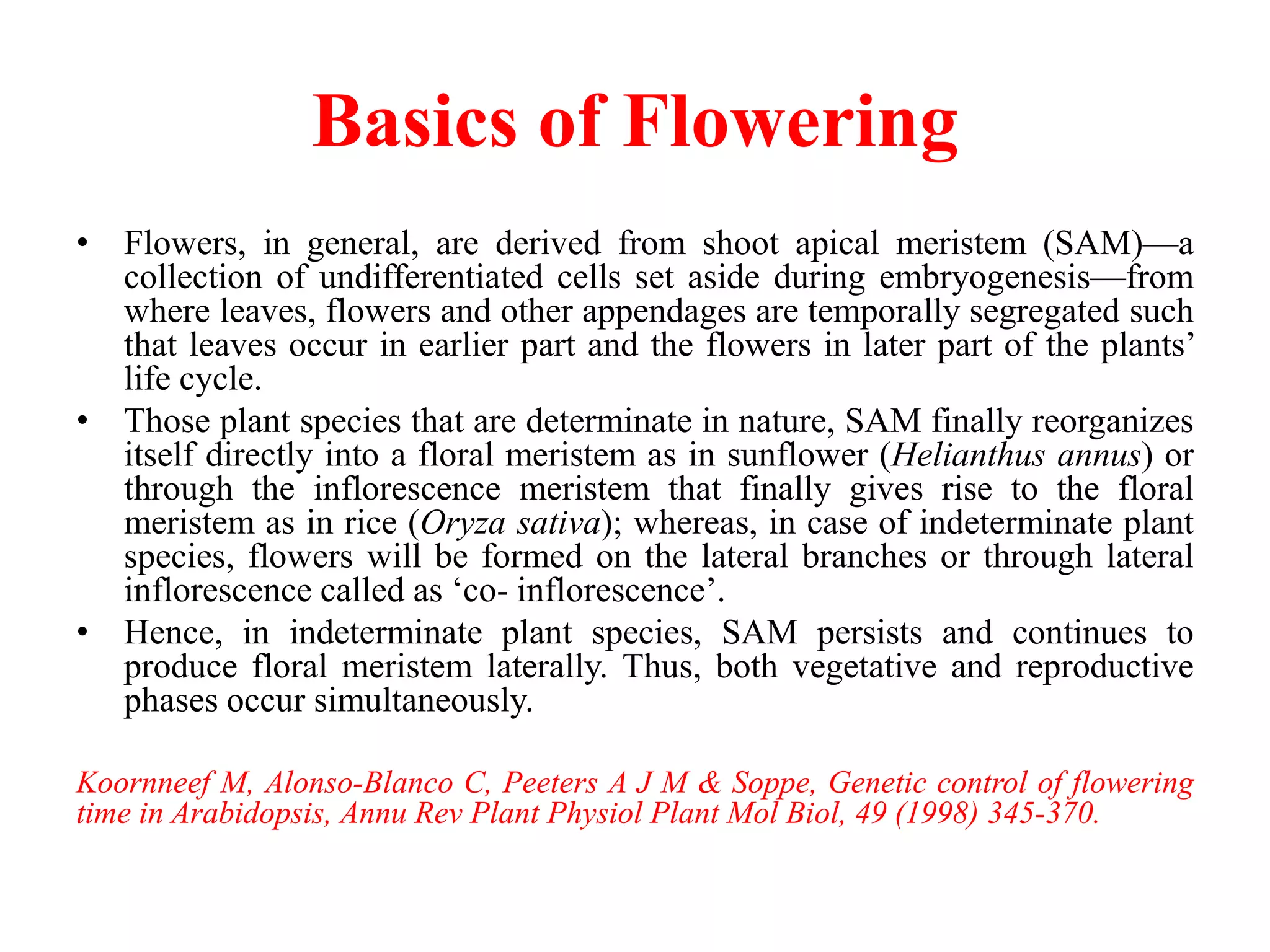 Physiology of Flowering Floral induction theoriesmodels ABC model ...