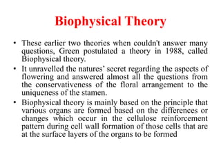 Physiology of Flowering Floral induction theoriesmodels ABC model ...