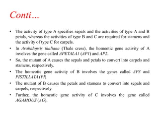 Physiology of Flowering Floral induction theoriesmodels ABC model ...