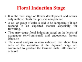 Physiology of Flowering Floral induction theoriesmodels ABC model ...