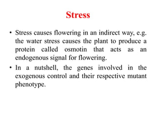 Physiology of Flowering Floral induction theoriesmodels ABC model ...
