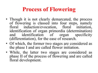 Physiology of Flowering Floral induction theoriesmodels ABC model ...