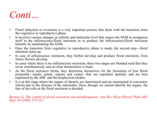 Physiology of Flowering Floral induction theoriesmodels ABC model ...