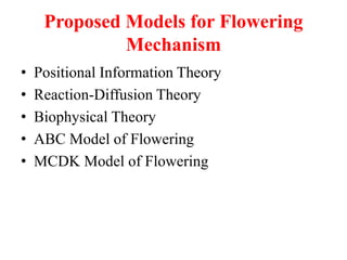 Physiology of Flowering Floral induction theoriesmodels ABC model ...