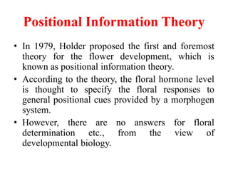 Physiology of Flowering Floral induction theoriesmodels ABC model ...