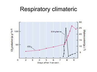 Physiology of fruit ripening.ppt