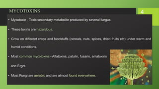 physiology of fungi .................pptx