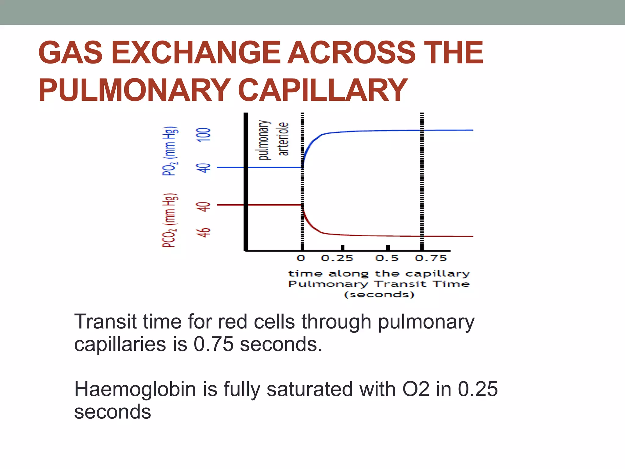 Physiology of gas exchange | PPTX