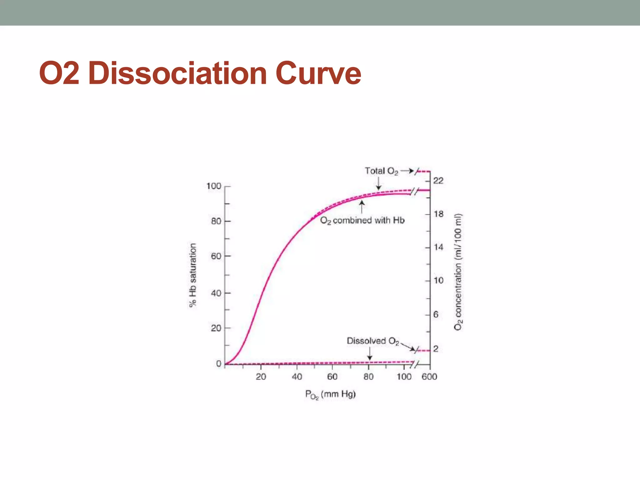 Physiology of gas exchange | PPTX