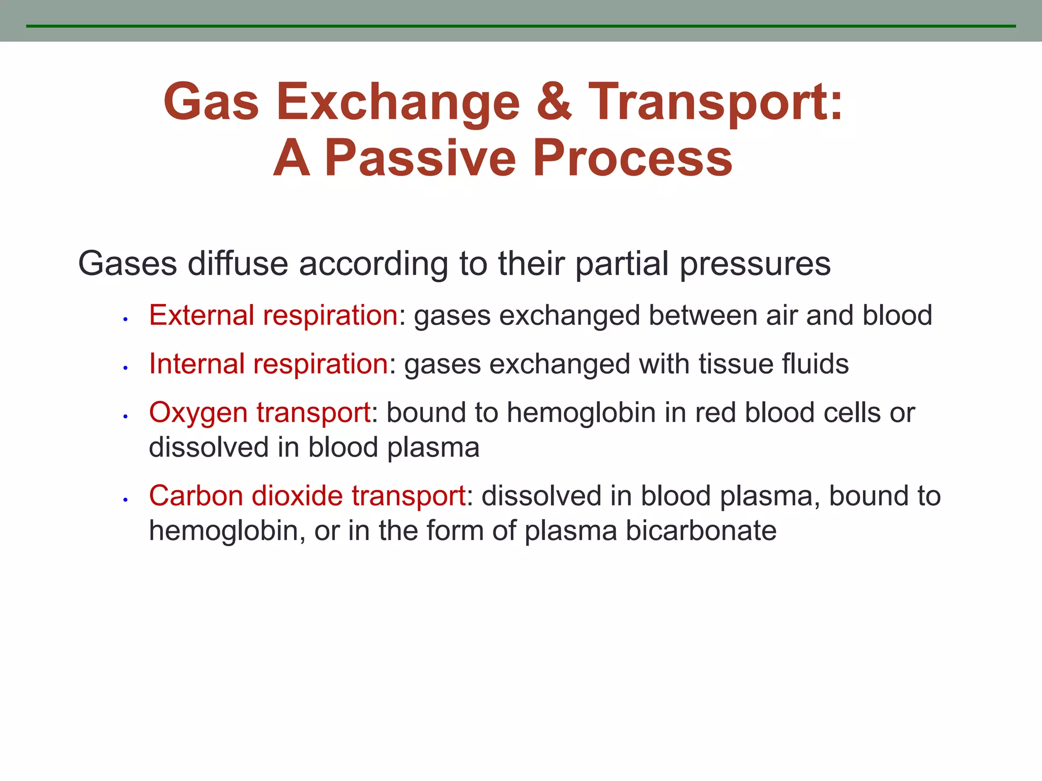 Physiology of gas exchange | PPTX