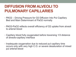 Physiology of gas exchange | PPTX