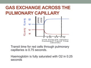 Physiology of gas exchange | PPTX