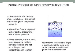 Physiology of gas exchange | PPTX