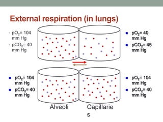 Physiology of gas exchange | PPTX