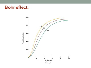 Physiology of gas exchange | PPTX