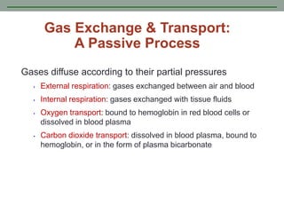 Physiology of gas exchange | PPTX