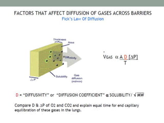 Physiology of gas exchange | PPTX
