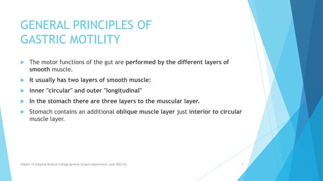 Physiology of Gastric Motility and Digestion1new333(1).pptx | Digestive ...