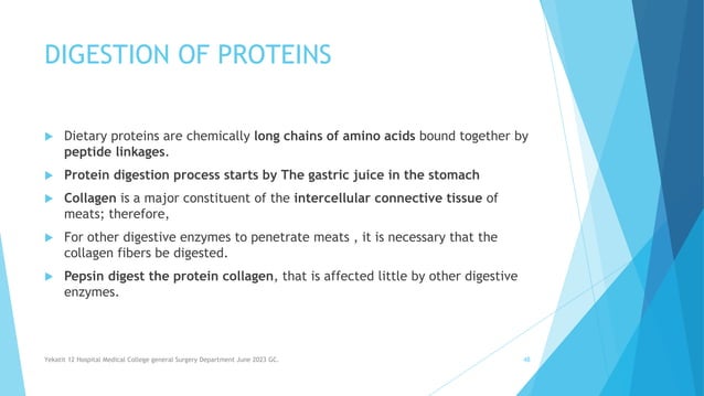 Physiology of Gastric Motility and Digestion1new333(1).pptx | Digestive ...