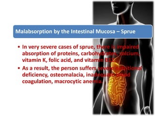Gastrointestinal Gisorders | PPT