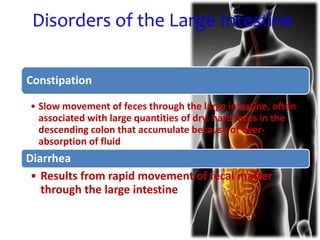 Gastrointestinal Gisorders | PPTX