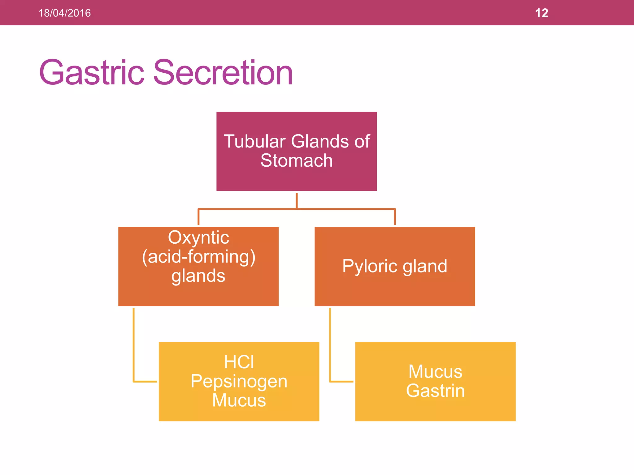 Physiology of GIS (Secretory Function of GI-tract) | PDF