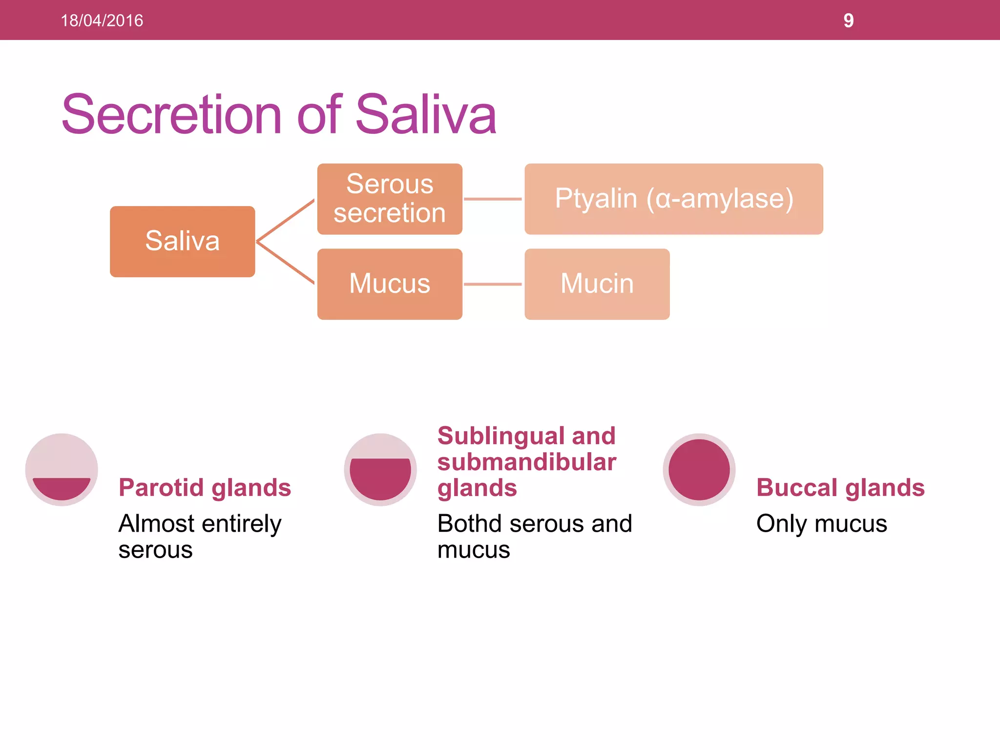 Physiology of GIS (Secretory Function of GI-tract) | PDF