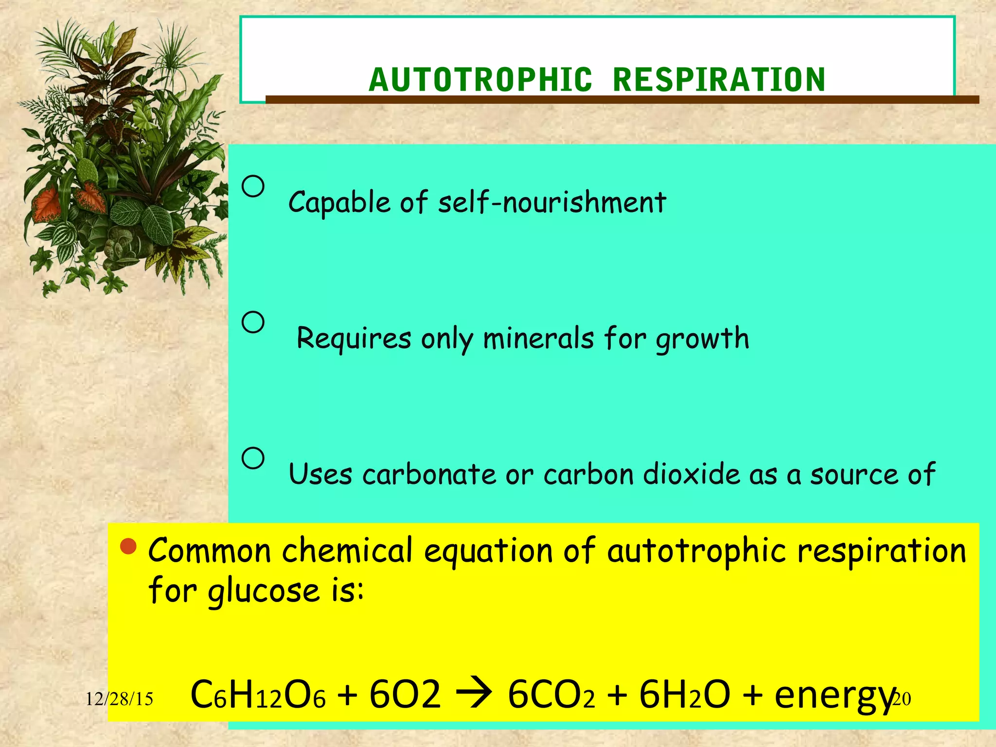 Physiology of grain yield in cereals, Growth and Maintenance ...