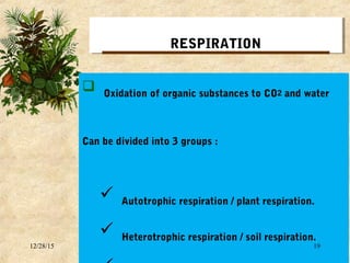Physiology of grain yield in cereals, Growth and Maintenance ...