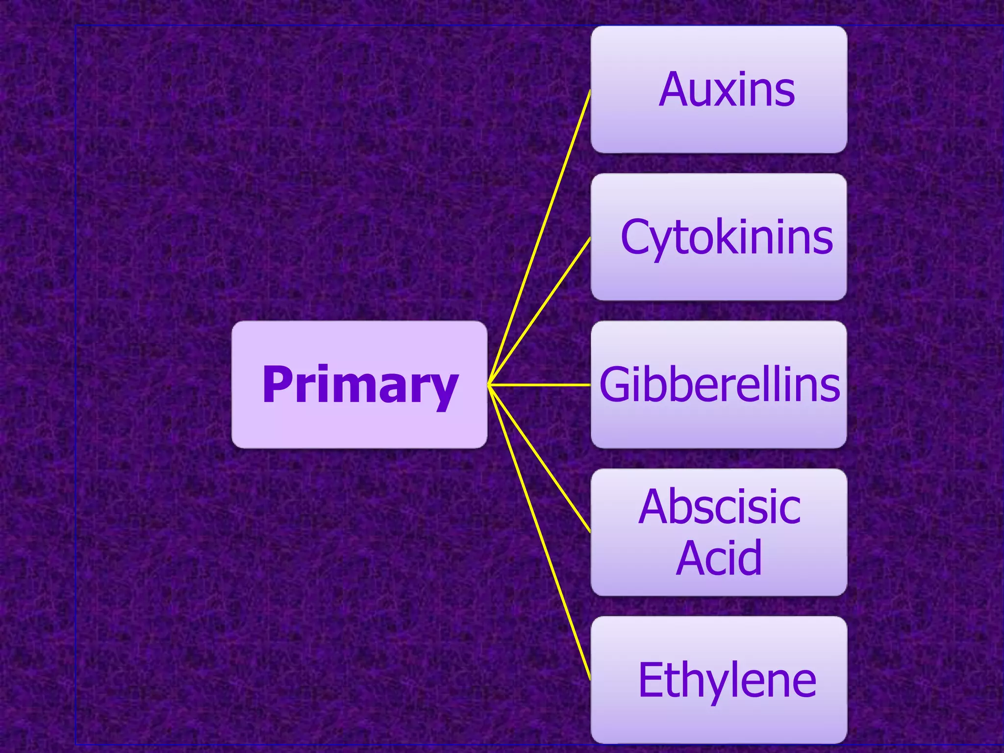 Physiology of growth and development of pome and stone fruits | PDF